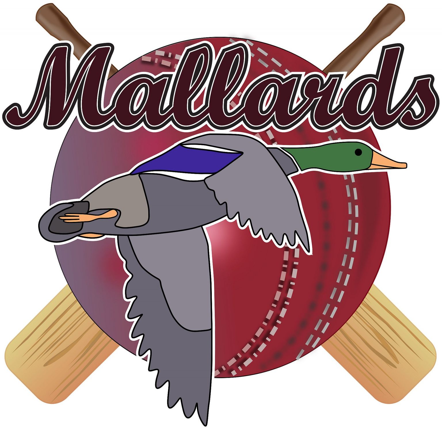 Cricket – Erding Mallards e.V. – Baseball & Cricket
